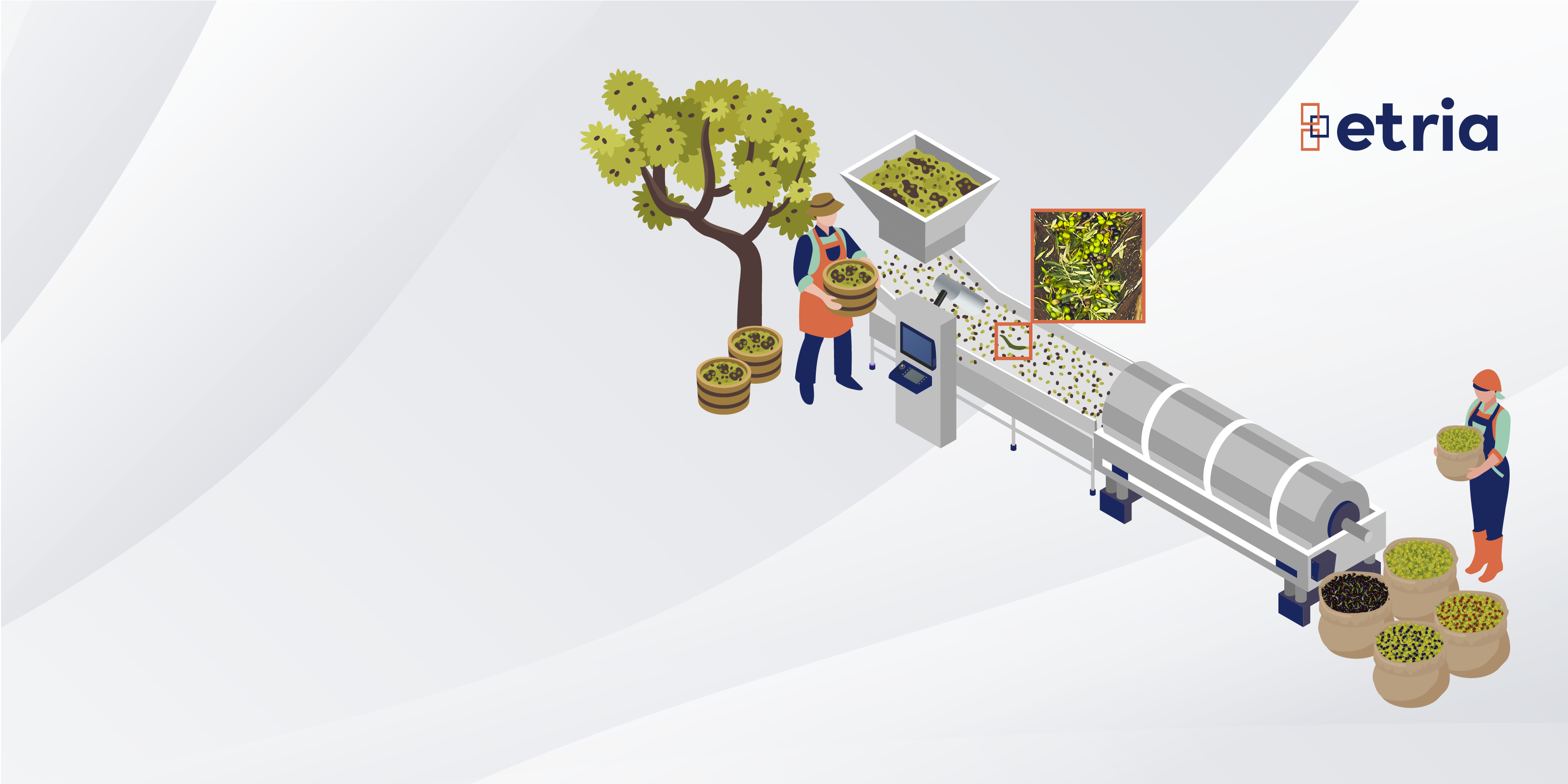 Etria: automatic detection of quality parameters in olives - Basetis